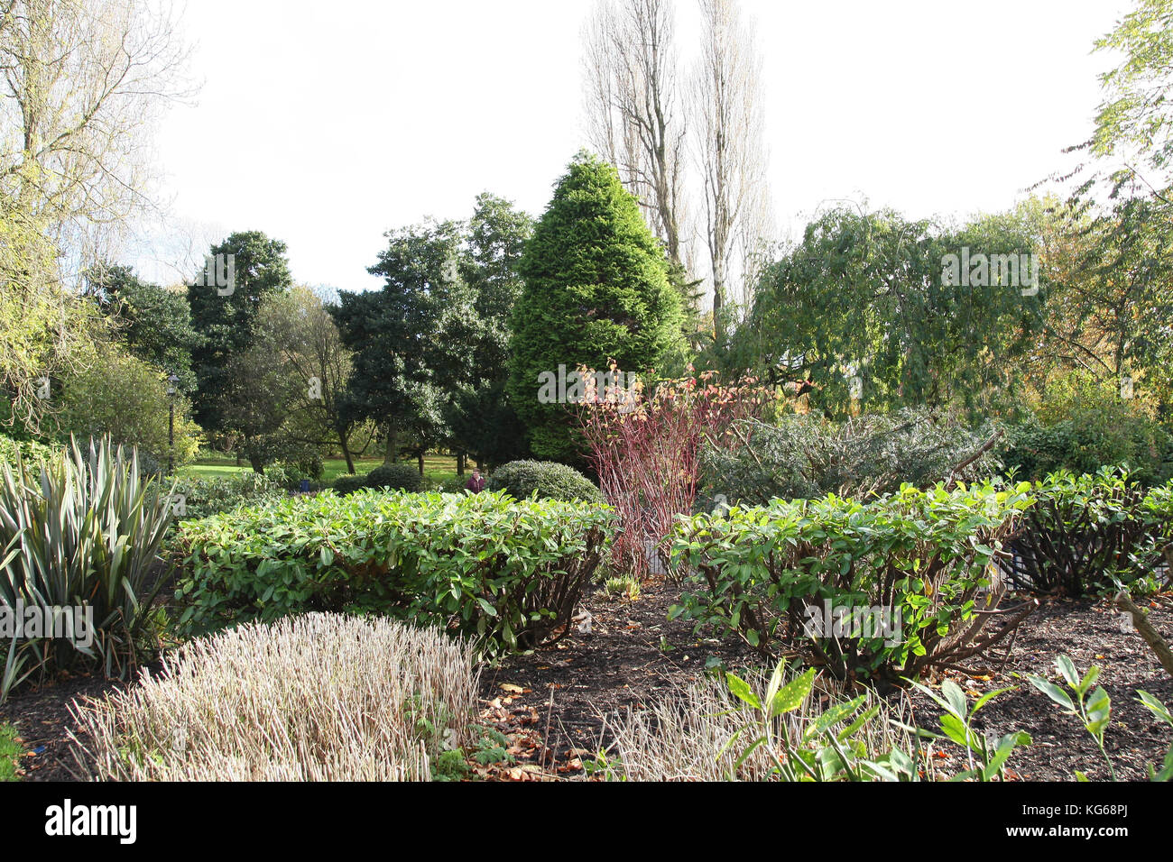 Sefton Park, Autumn time Stock Photo - Alamy