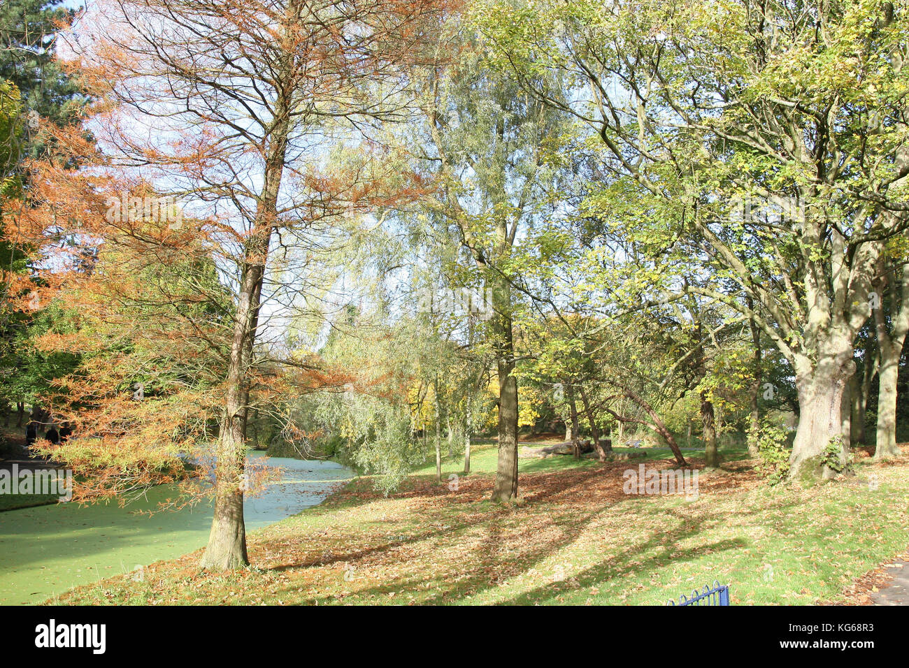 Sefton Park, Autumn time Stock Photo - Alamy
