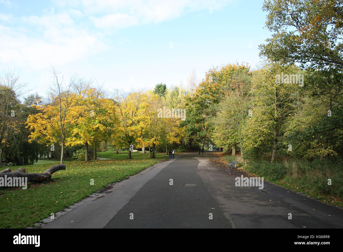 Sefton park bandstand hi-res stock photography and images - Alamy