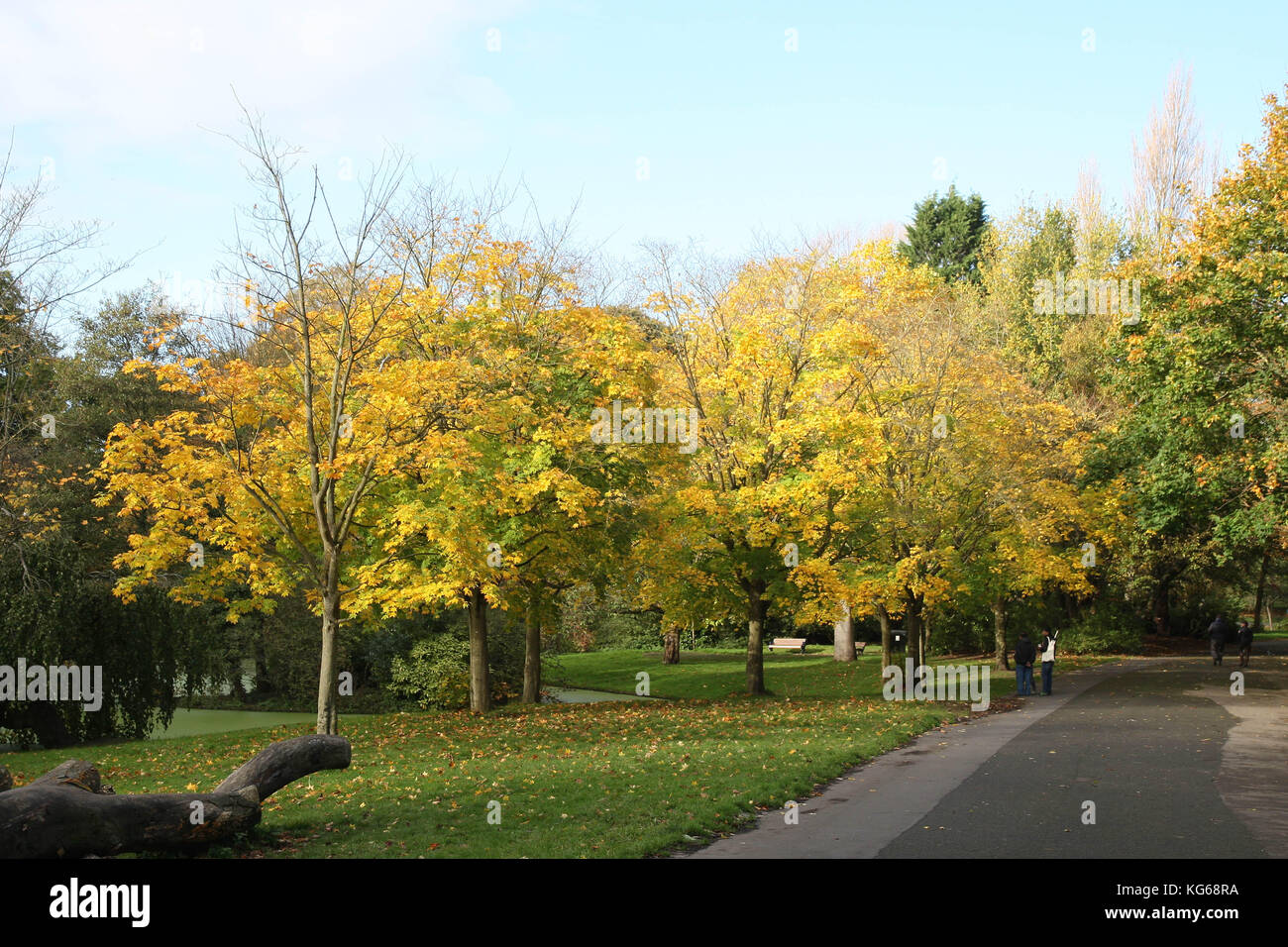 Sefton park bandstand hi-res stock photography and images - Alamy