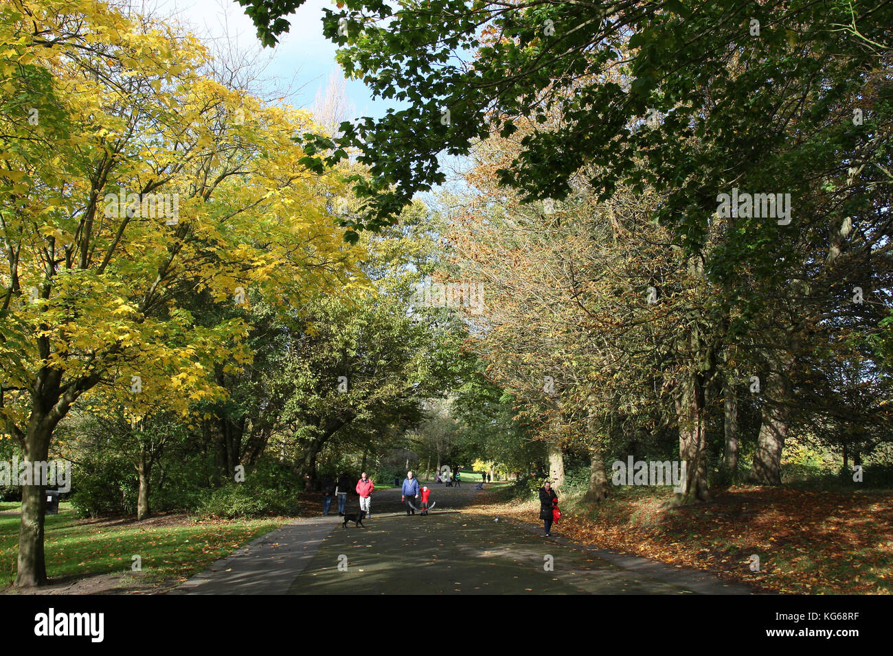 Sefton park bandstand hi-res stock photography and images - Alamy