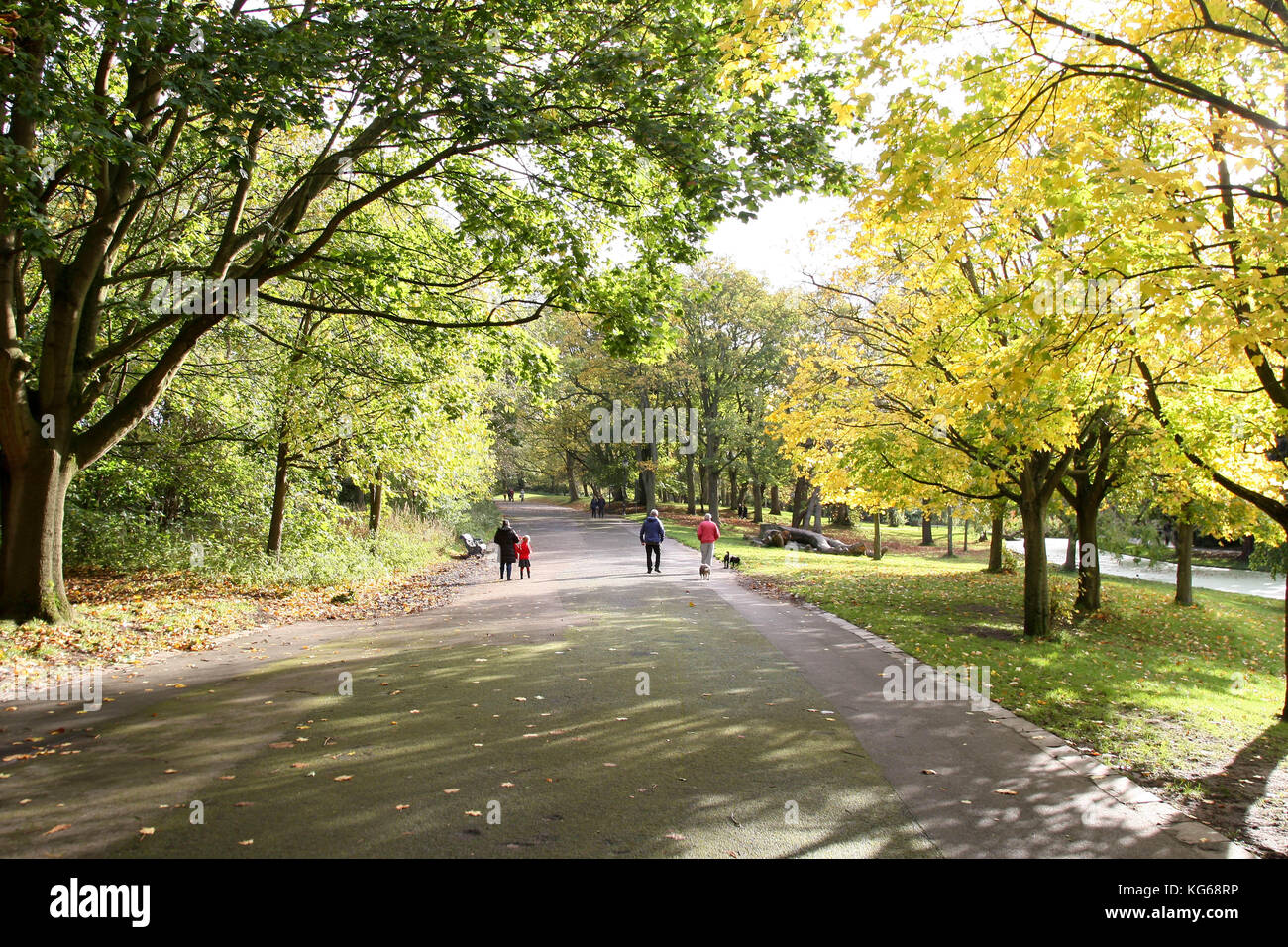 Sefton park bandstand hi-res stock photography and images - Alamy