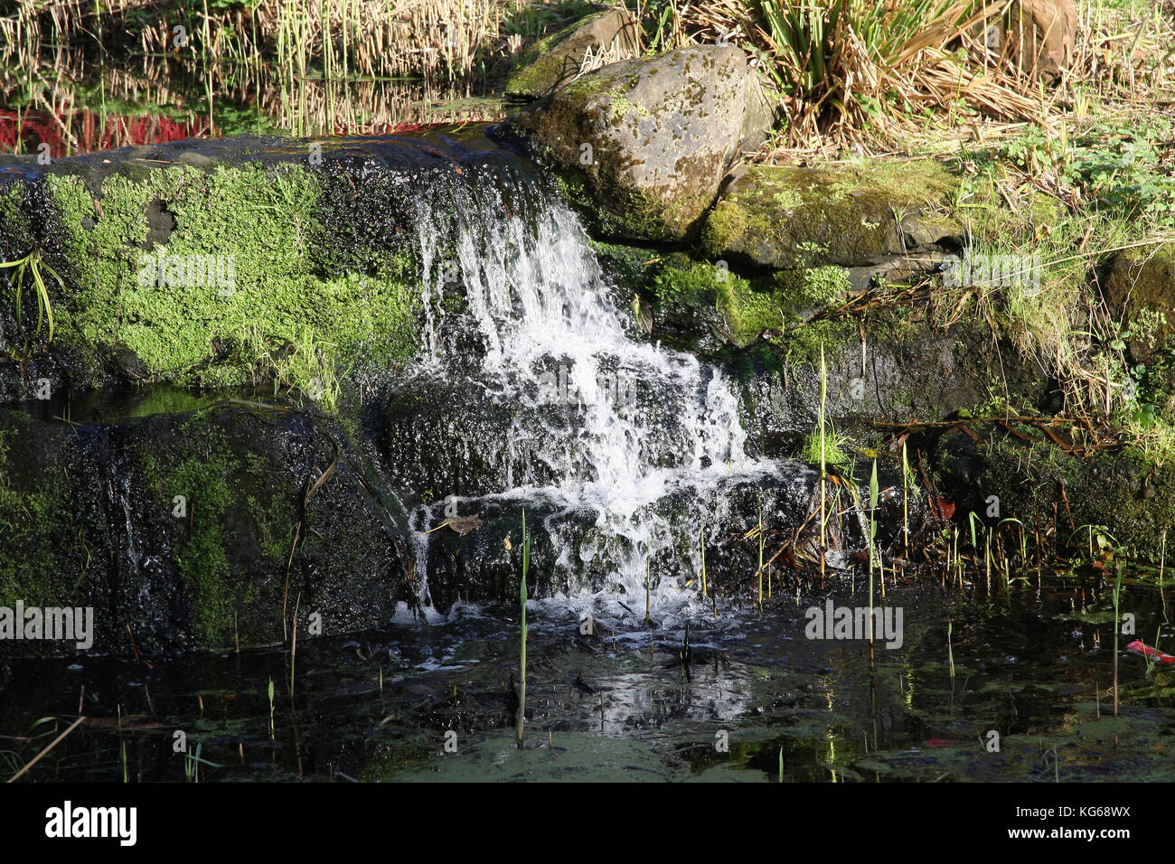 Sefton park bandstand hi-res stock photography and images - Alamy