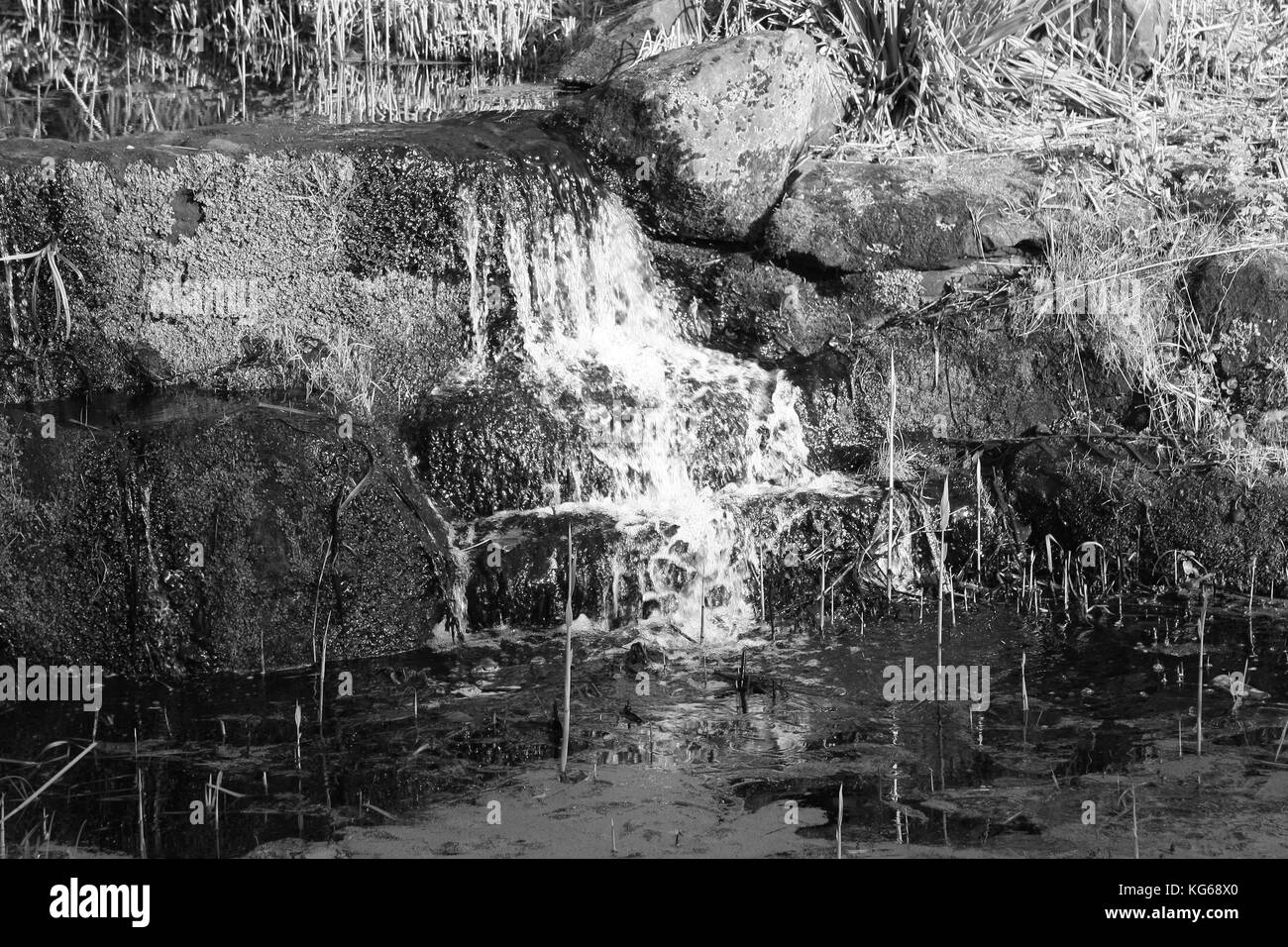 Sefton Park, Autumn time Stock Photo - Alamy