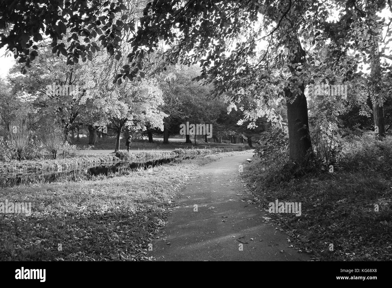 Sefton park bandstand hi-res stock photography and images - Alamy