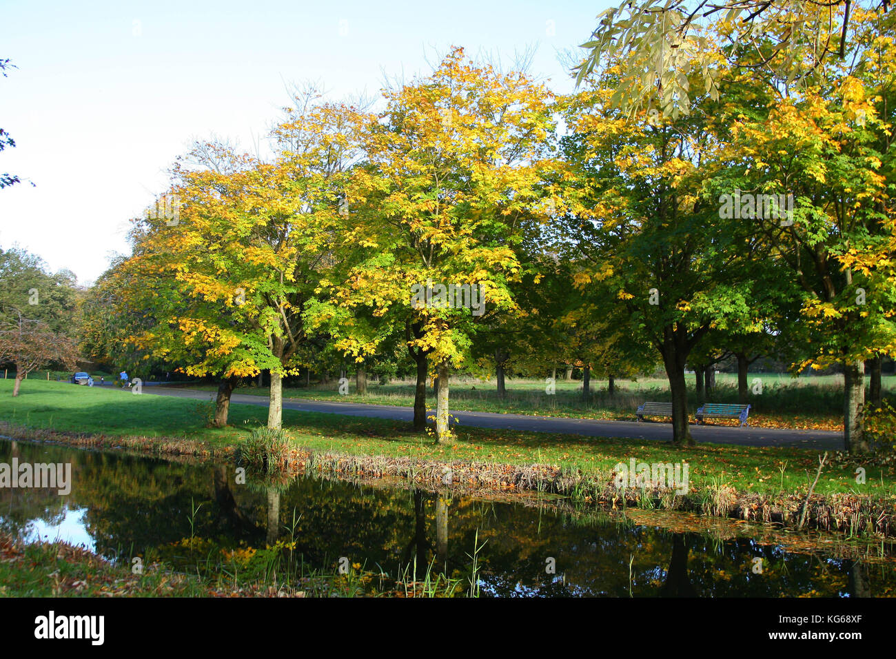 Sefton Park, Autumn time Stock Photo - Alamy