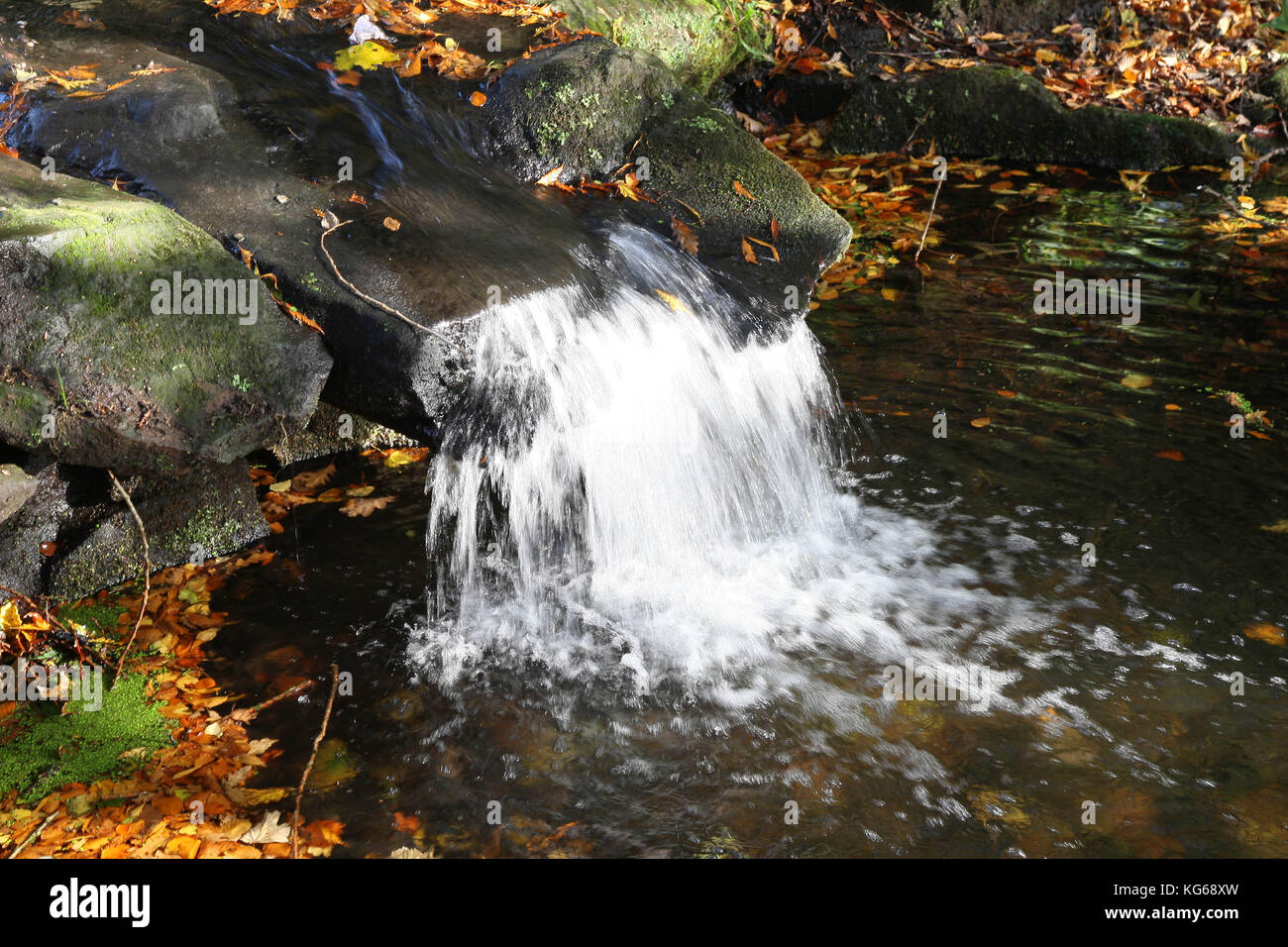 Sefton Park, Autumn time Stock Photo - Alamy