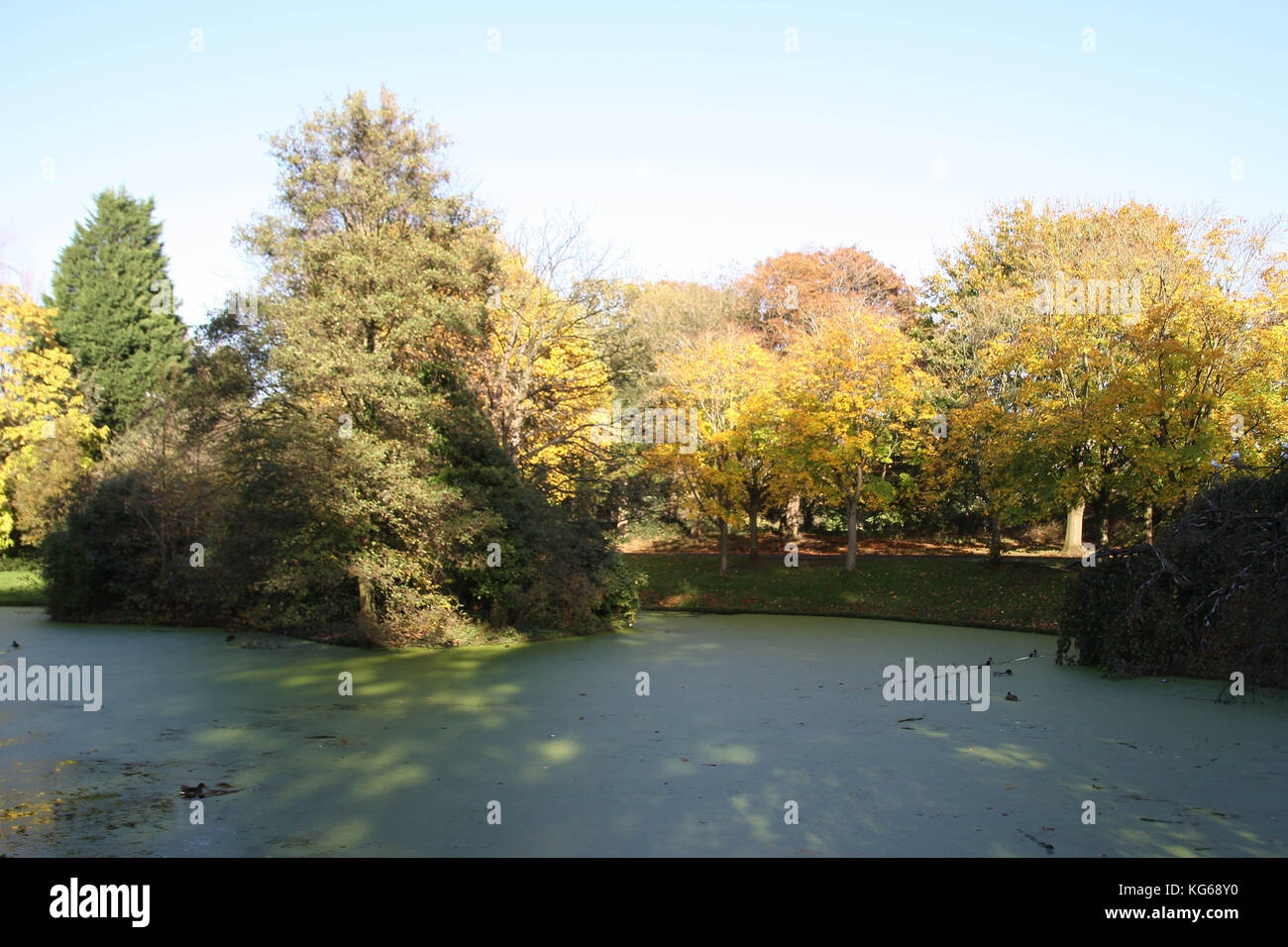 Sefton park bandstand hi-res stock photography and images - Alamy