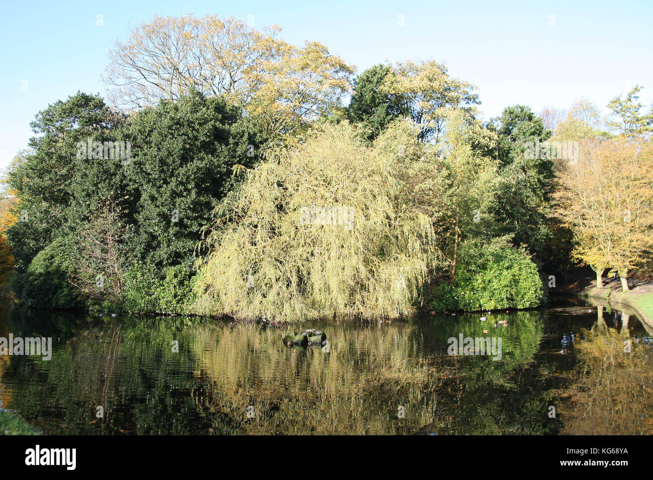 Sefton Park, Autumn time Stock Photo - Alamy