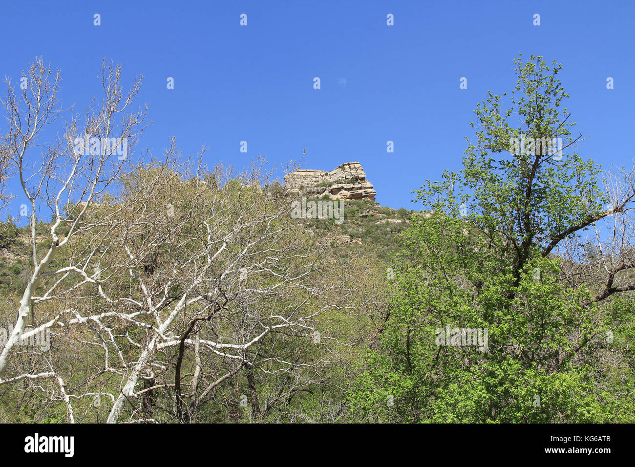 White Rock Formation in Sedona Arizona Stock Photo - Alamy