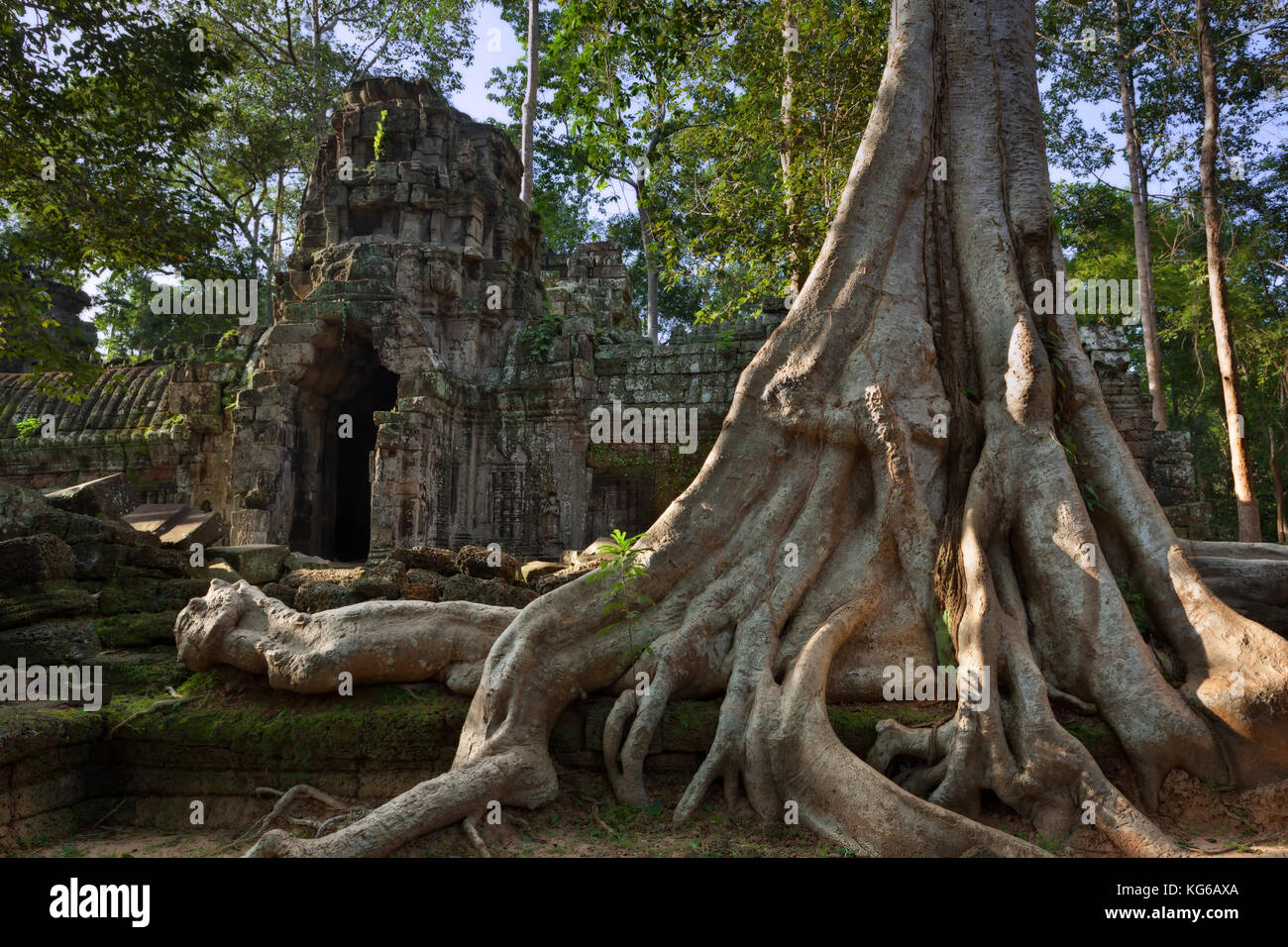 Ta Nei temple, Angkor, Cambodia Stock Photo - Alamy