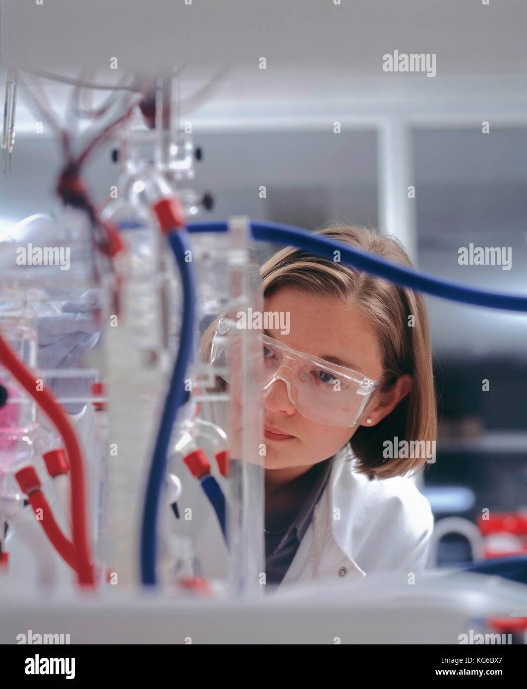 In vitro pharmacology research Stock Photo - Alamy