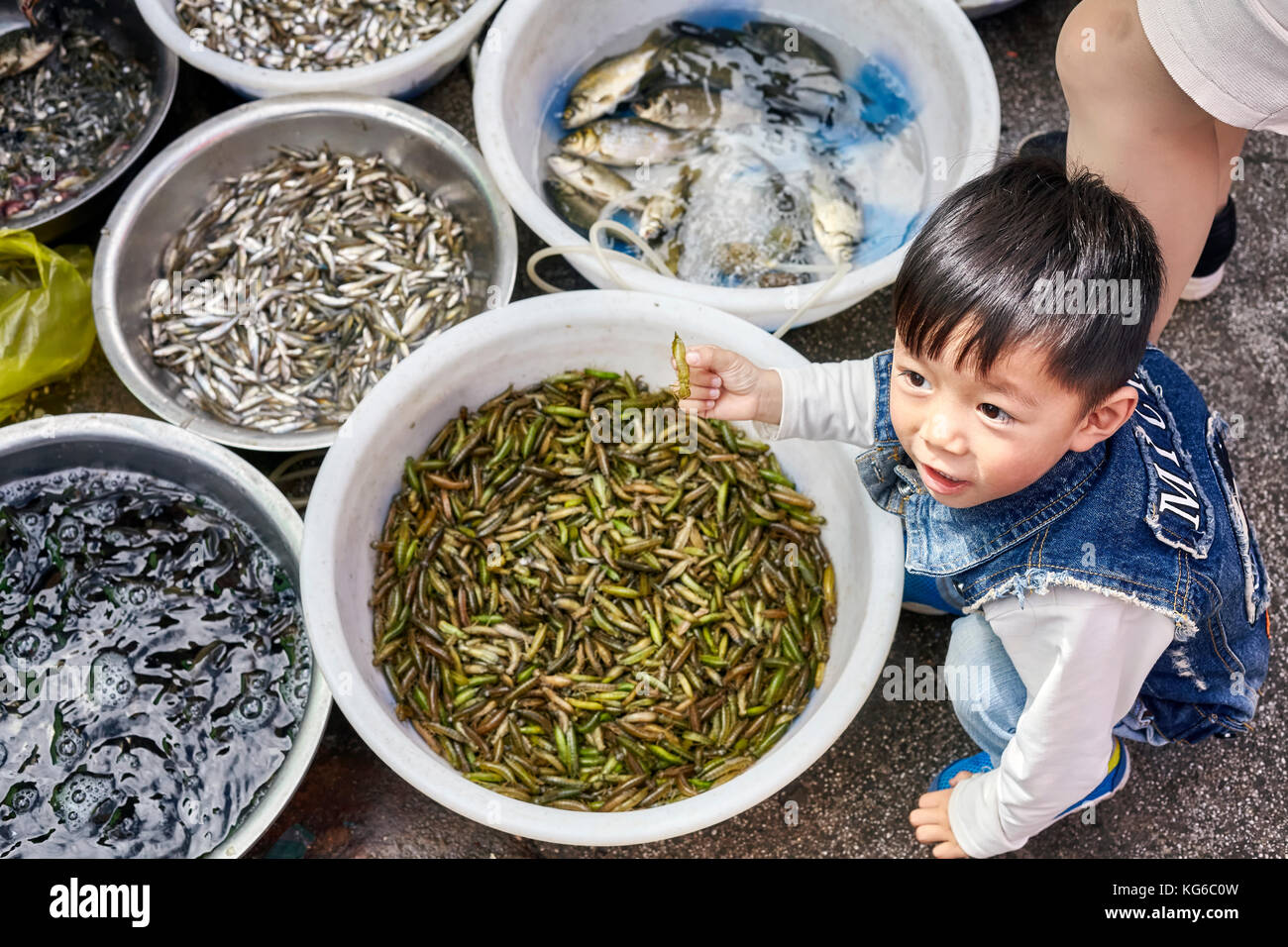 Edible insects hi-res stock photography and images - Alamy