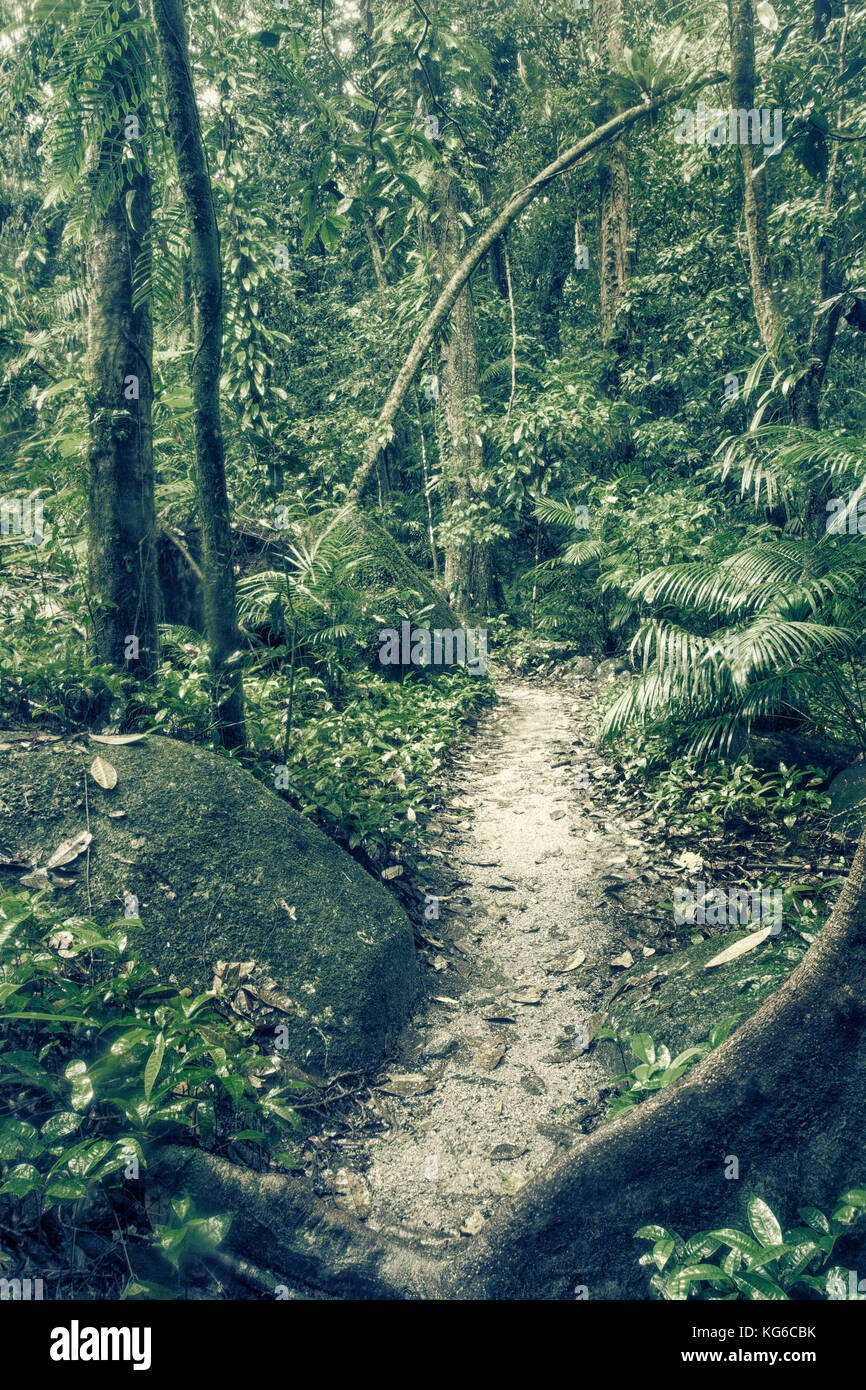 Aisle walkway pathway hi-res stock photography and images - Alamy