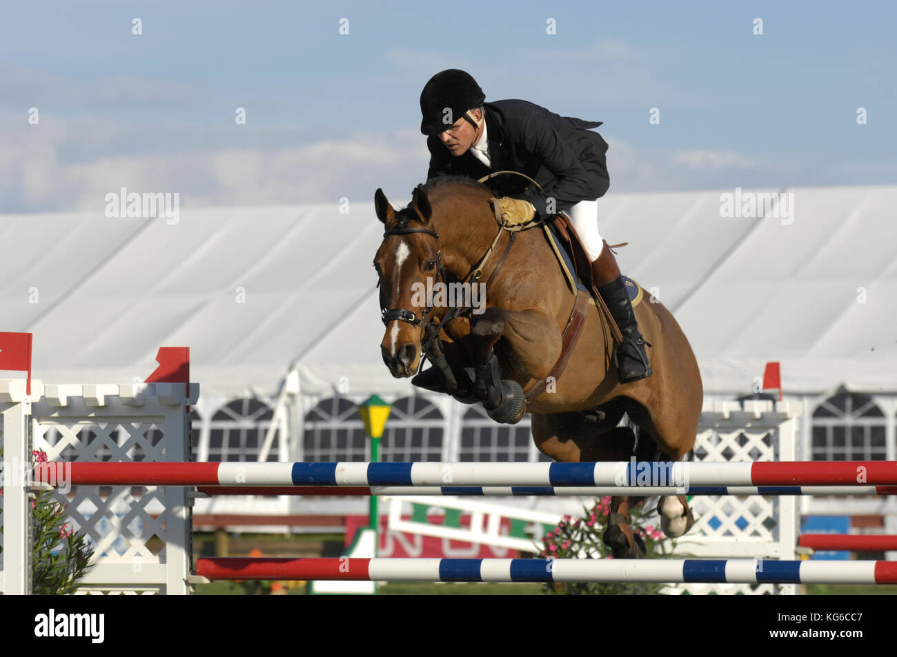 Wiljan Laarakaers (NED) riding Flexpower Phantom, Winter Equestrian ...