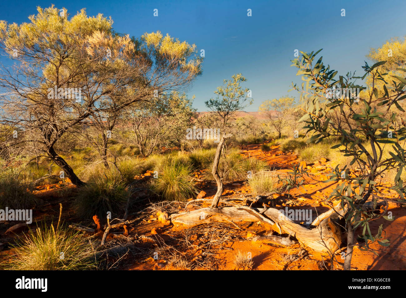 Red centre landscape, Australia Stock Photo - Alamy