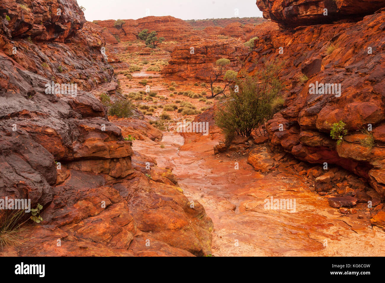 Red rock path in valley, Kings Canyon, Outback, Australia Stock Photo ...