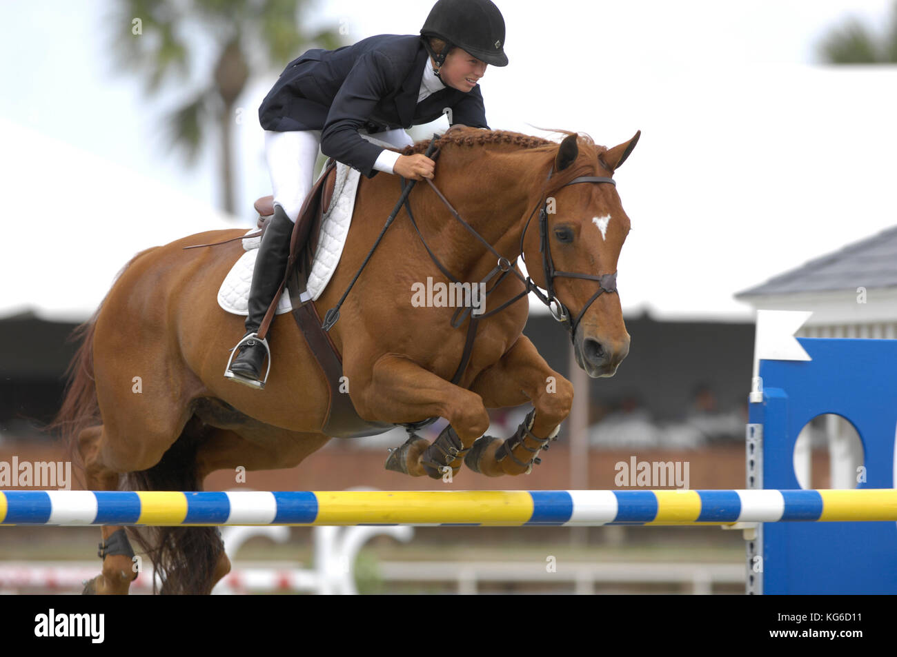 Sarah Segal (USA) riding True Love, Winter Equestrian Festival ...