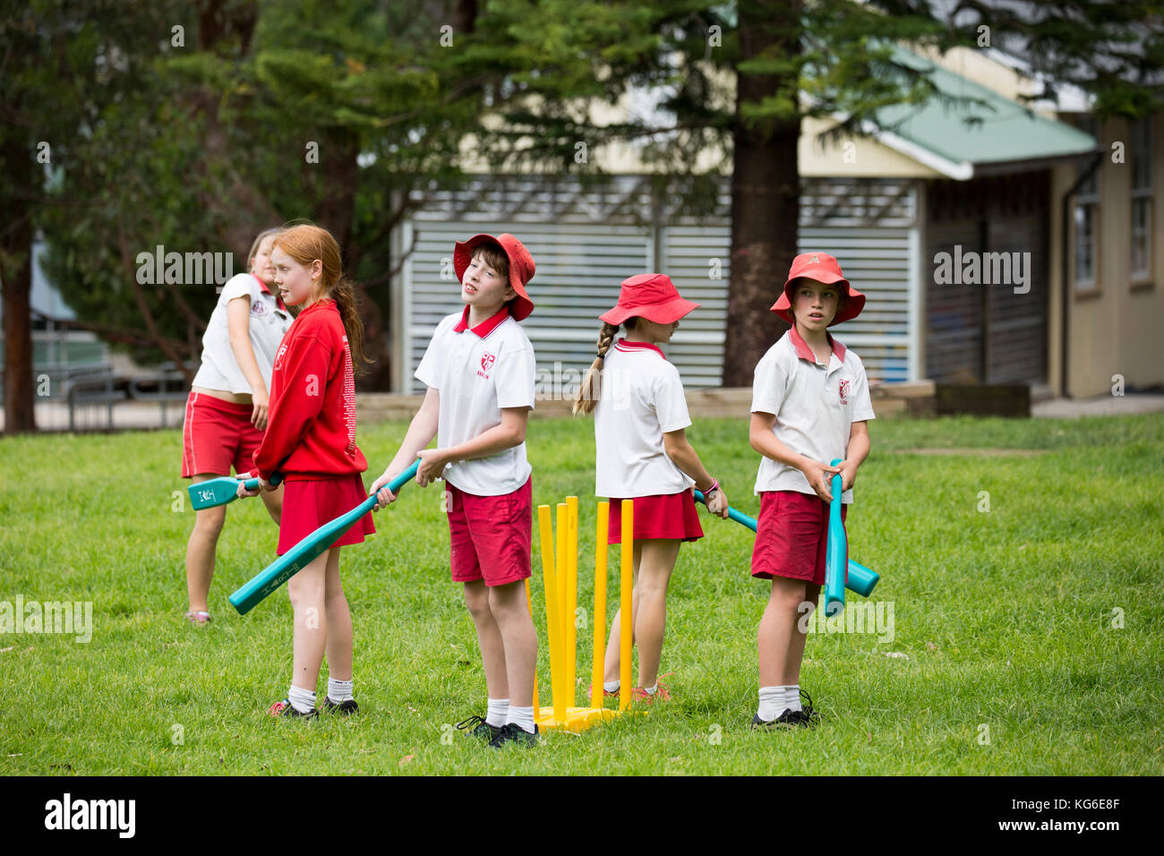 Australian schools boy and girls children playing cricket sport at ...