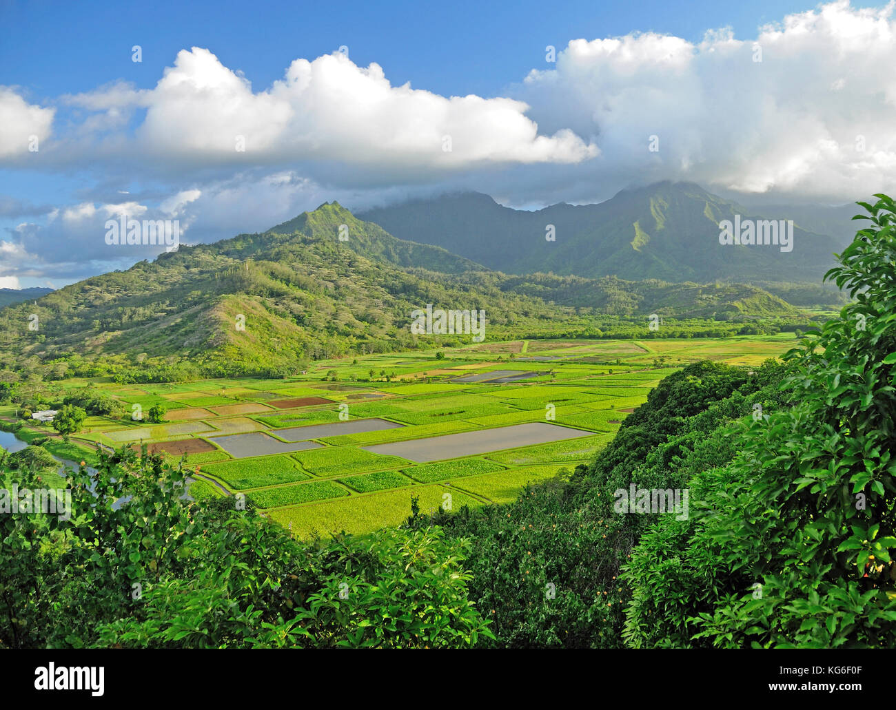 Hanalei Valley on the Island og Kauai Stock Photo - Alamy