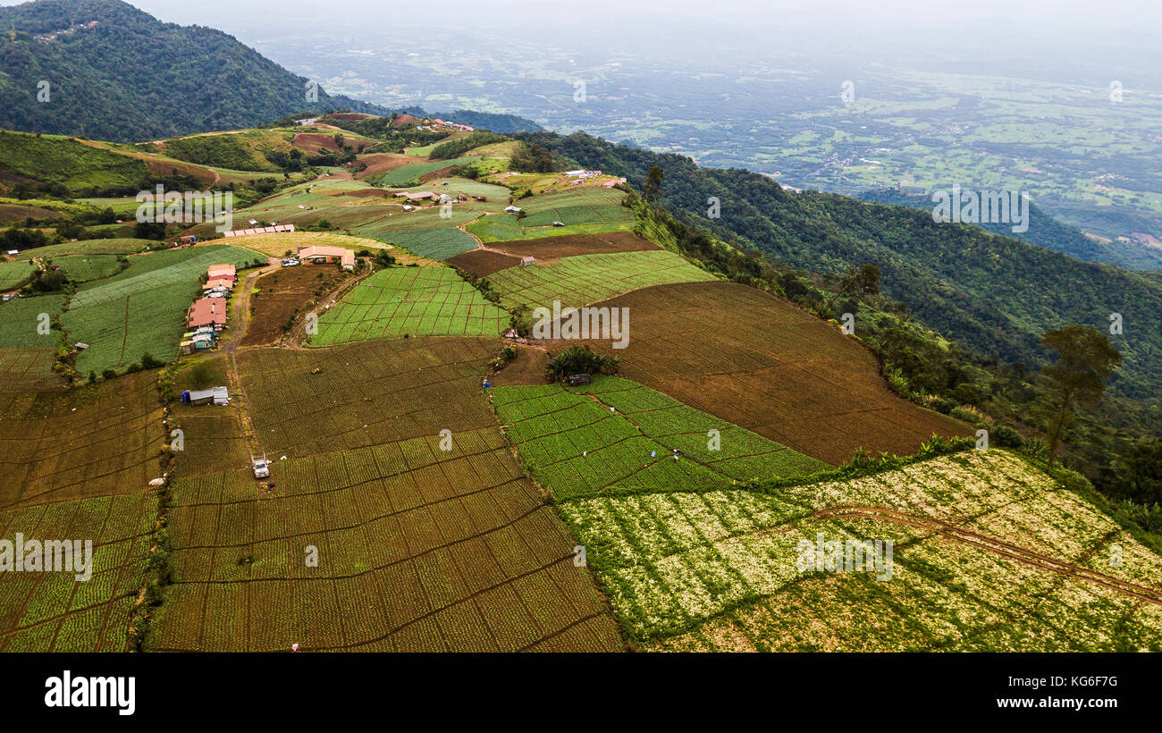 An aerial view of Agricultural area Stock Photo - Alamy