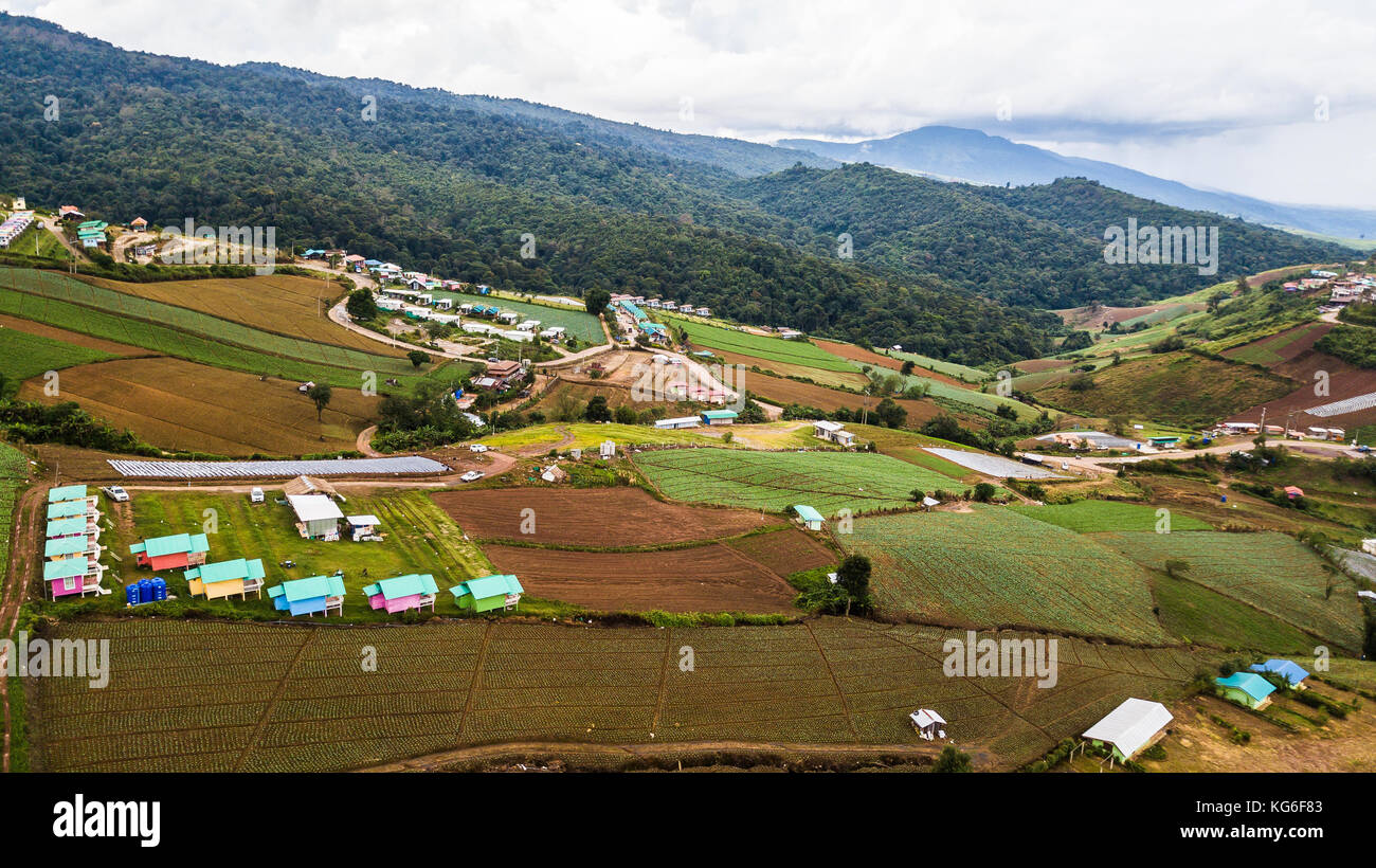 An aerial view of Agricultural area Stock Photo - Alamy