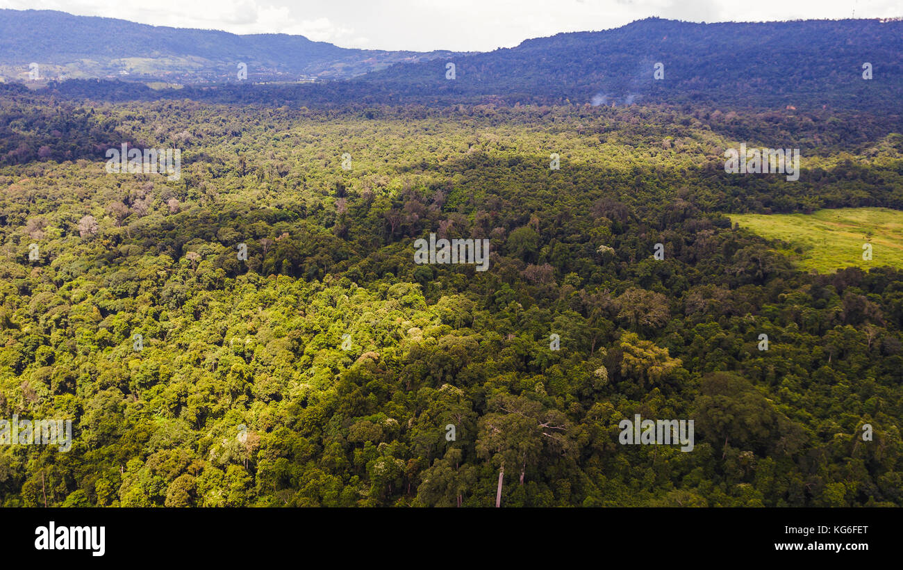 An aerial view of forest Stock Photo - Alamy