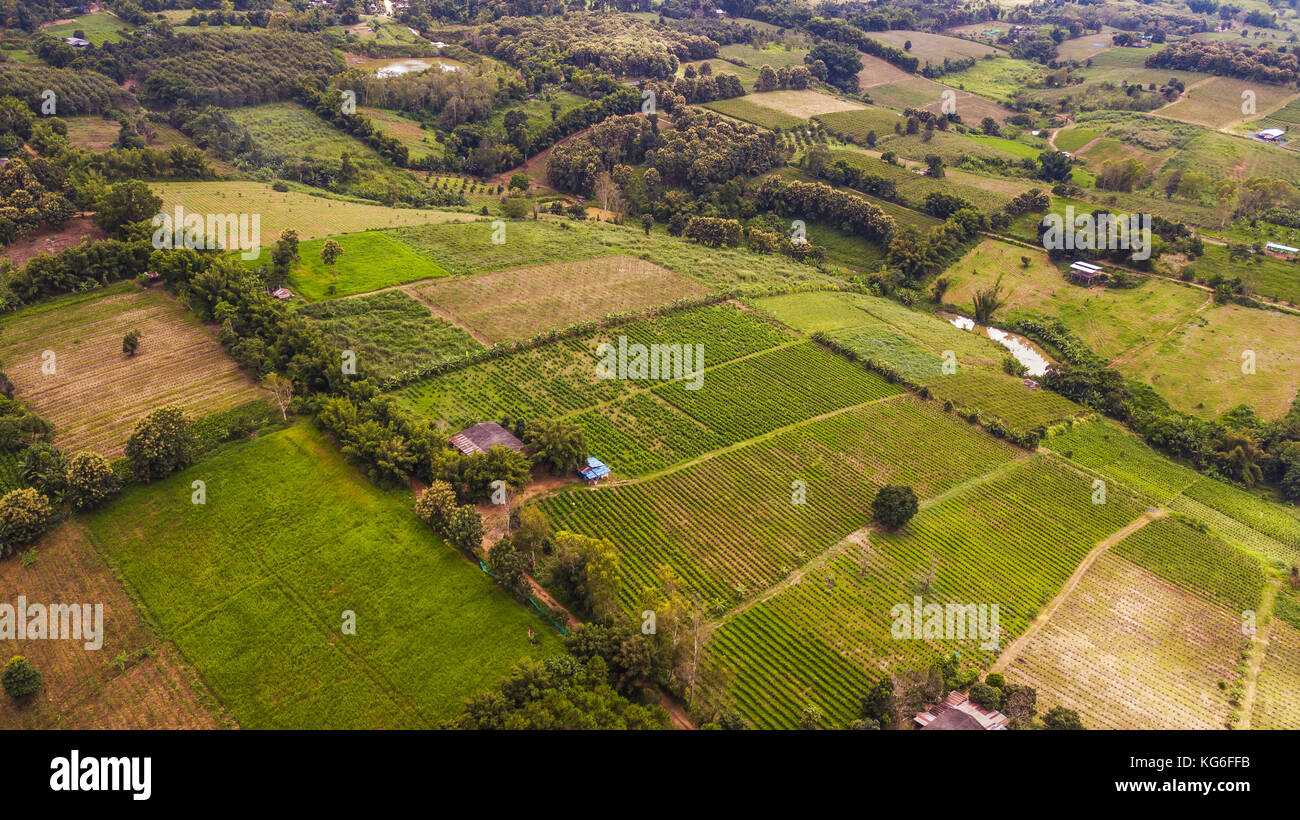 An aerial view of Agricultural area Stock Photo - Alamy