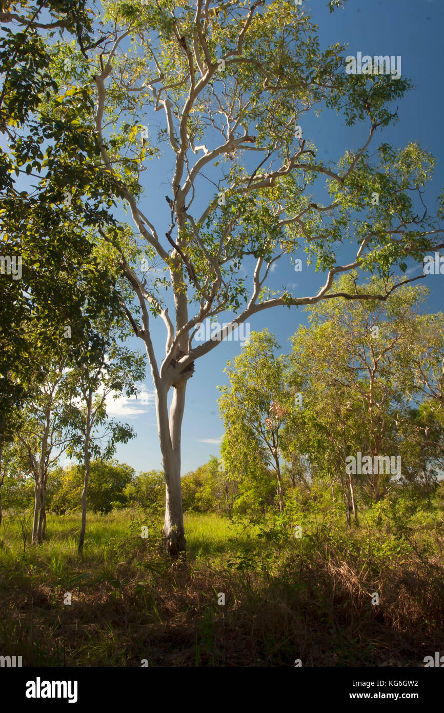 Australian carbon dioxide hi-res stock photography and images - Alamy