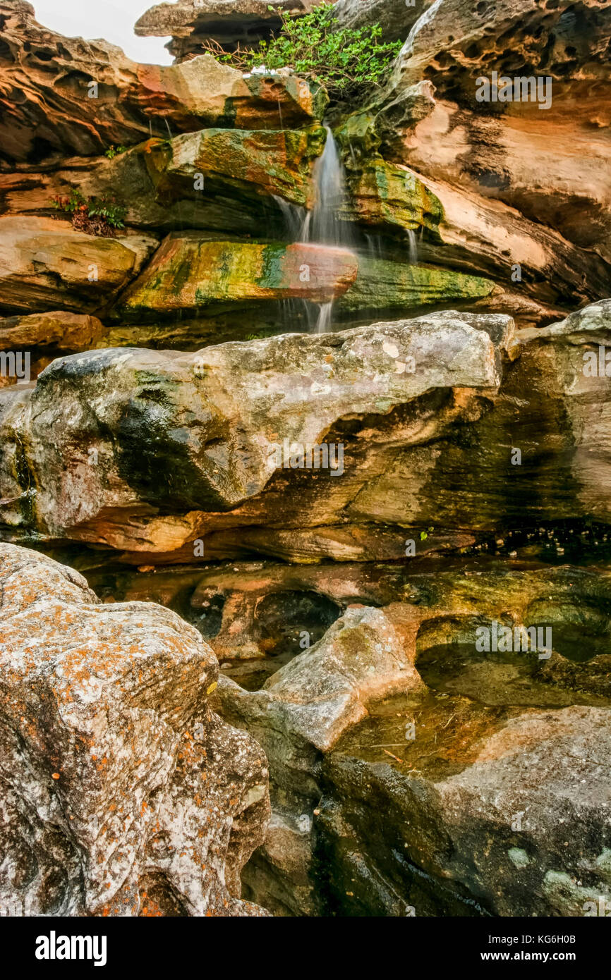 Coogee trail hi-res stock photography and images - Alamy