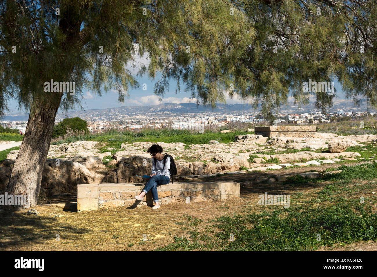 Holidaymaker reading under pendulous tree in the paphos archeological ...