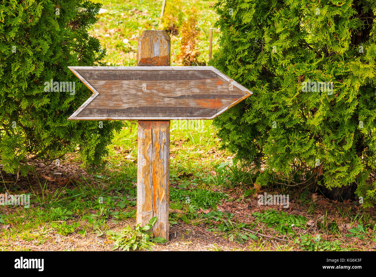 Wooden direction pointer between two trees in the park Stock Photo - Alamy
