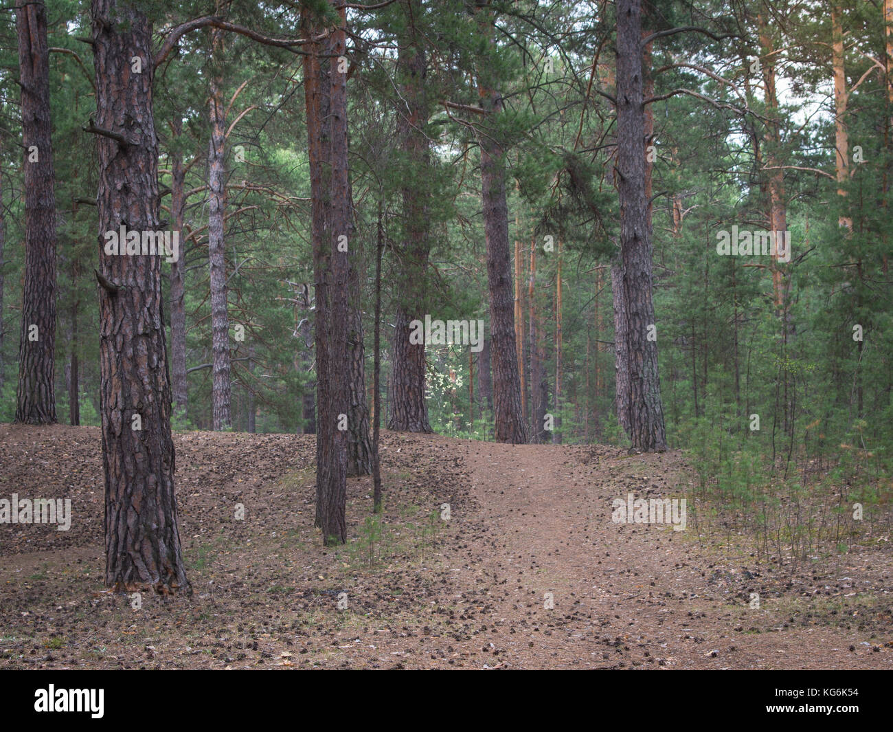 Path sunrise nobody hi-res stock photography and images - Alamy