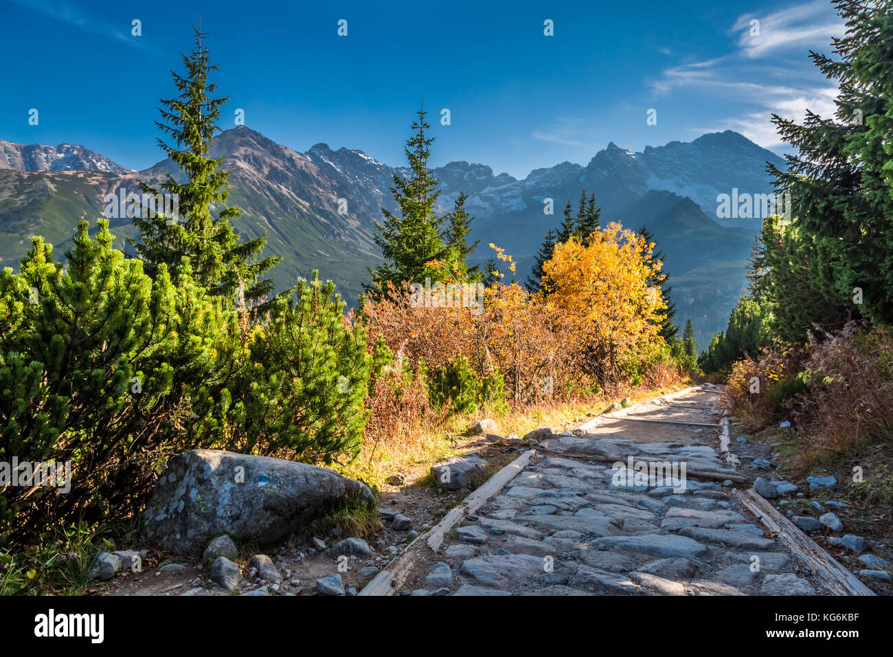 Stunning path to the Tatras in autumn at sunset Stock Photo - Alamy