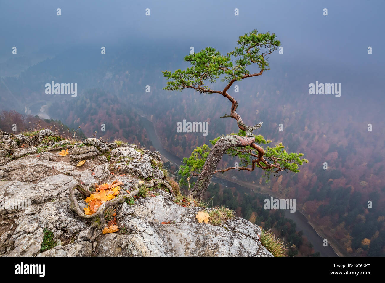 Cold Sokolica peak in Pieniny mountains at sunrise in Poland Stock ...