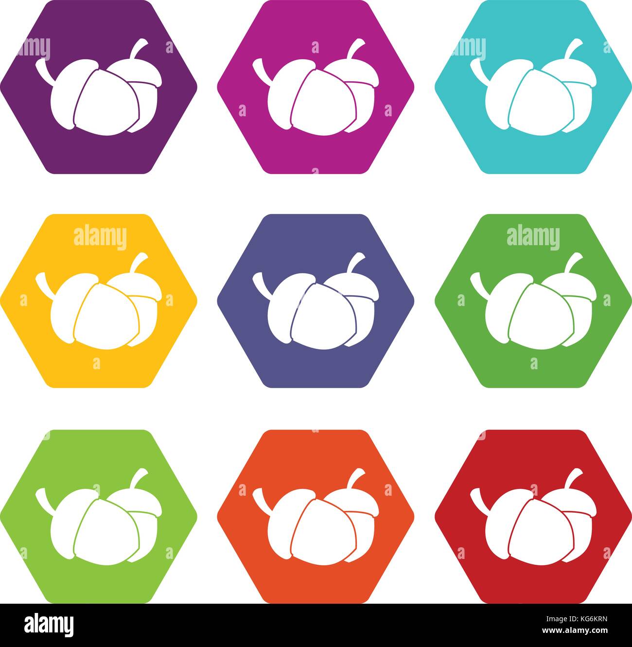 Acorn icon set color hexahedron Stock Vector Image & Art - Alamy
