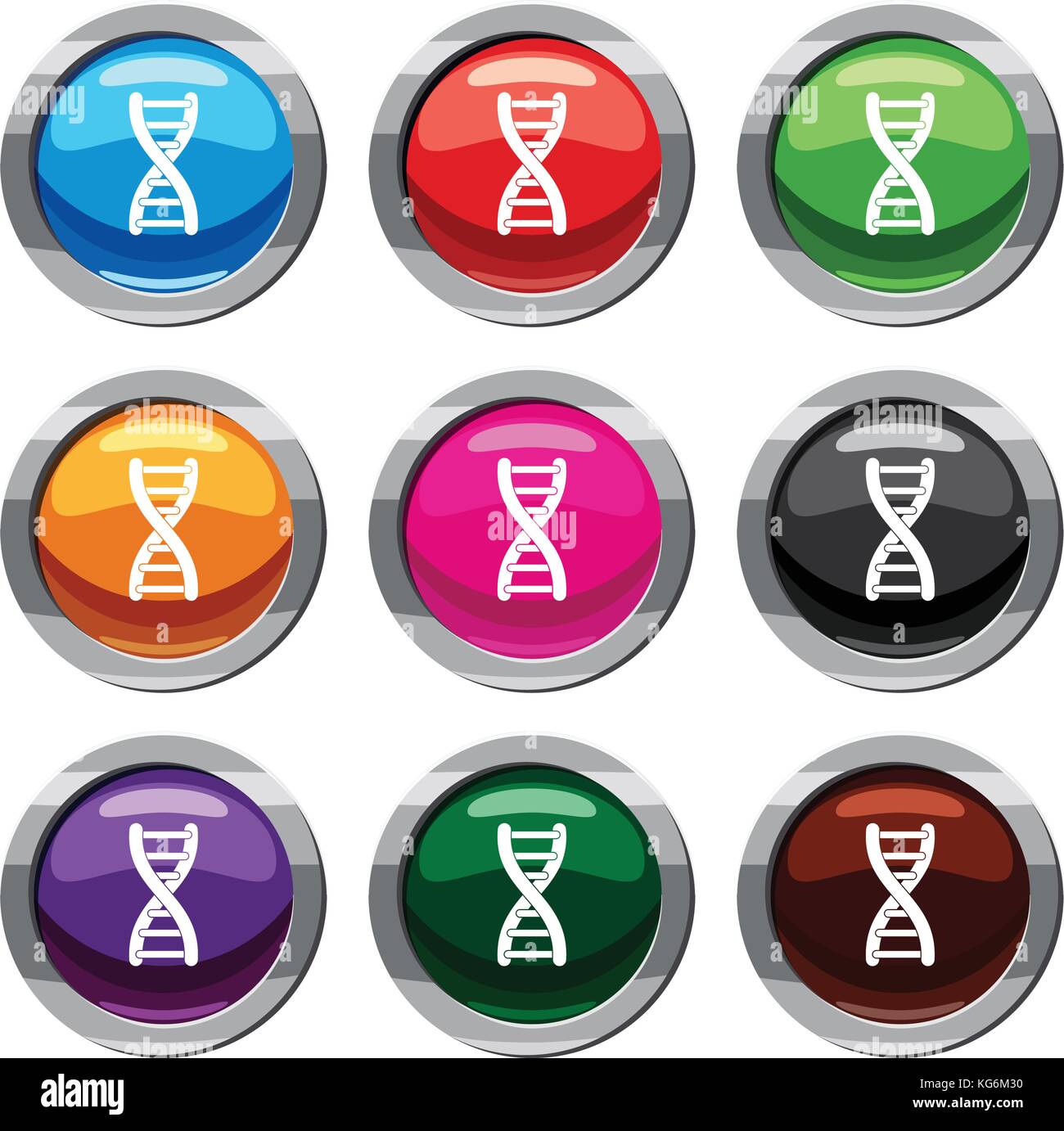 DNA strand set 9 collection Stock Vector Image & Art - Alamy