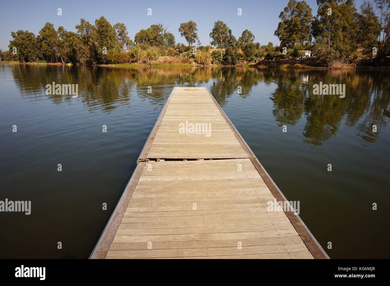 wooden pier in the lake with florest trees scenery background Stock ...