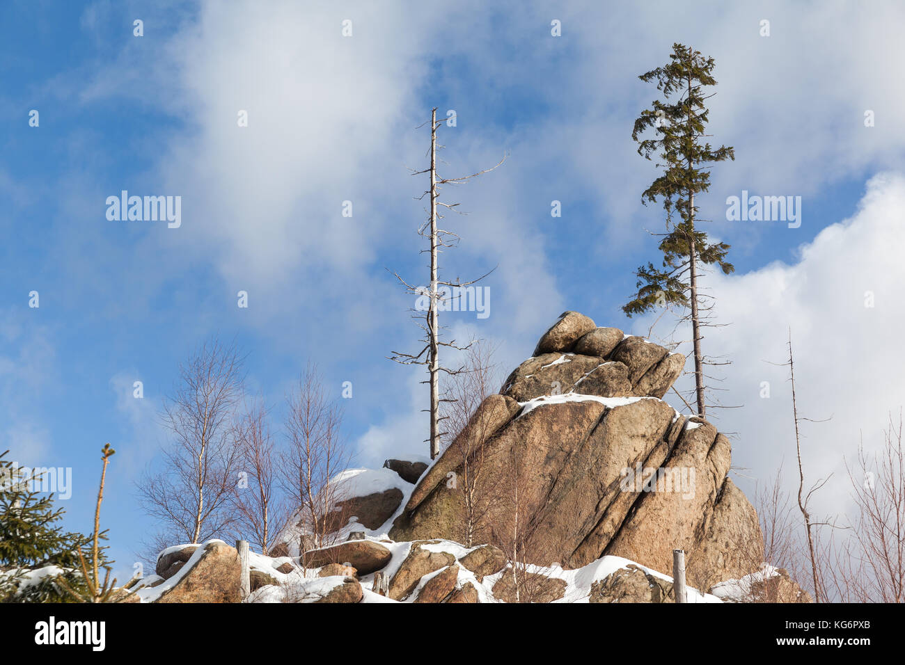 Harz, Hohnekamm im Winter Stock Photo - Alamy