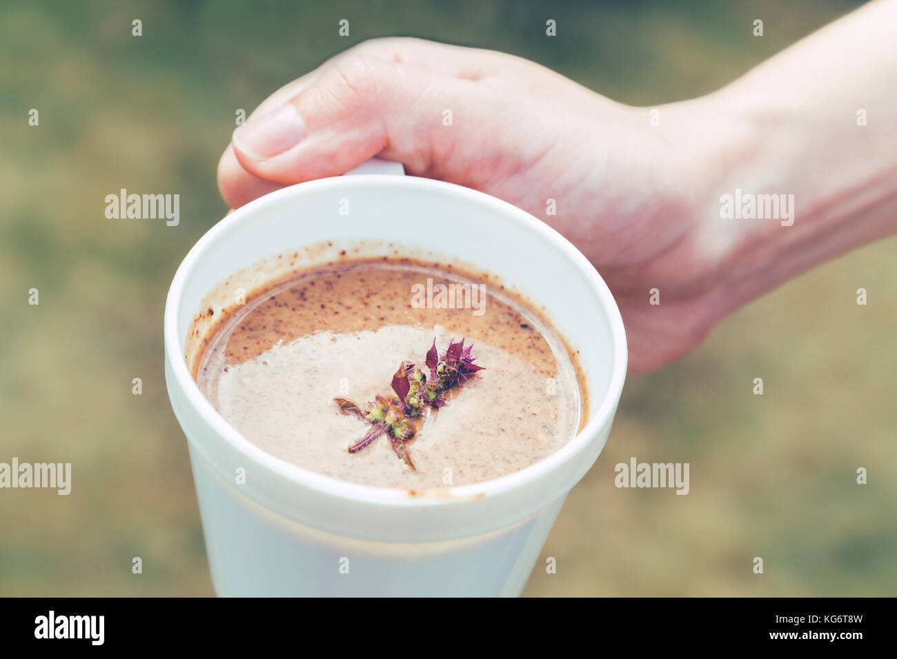 Hot drinks with a mixture of cocoa, chocolate, malt, and fresh basil on ...