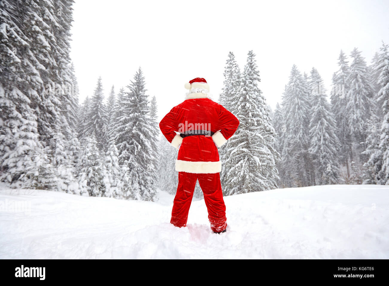 Santa Claus is standing back view in the woods in the winter a Stock ...