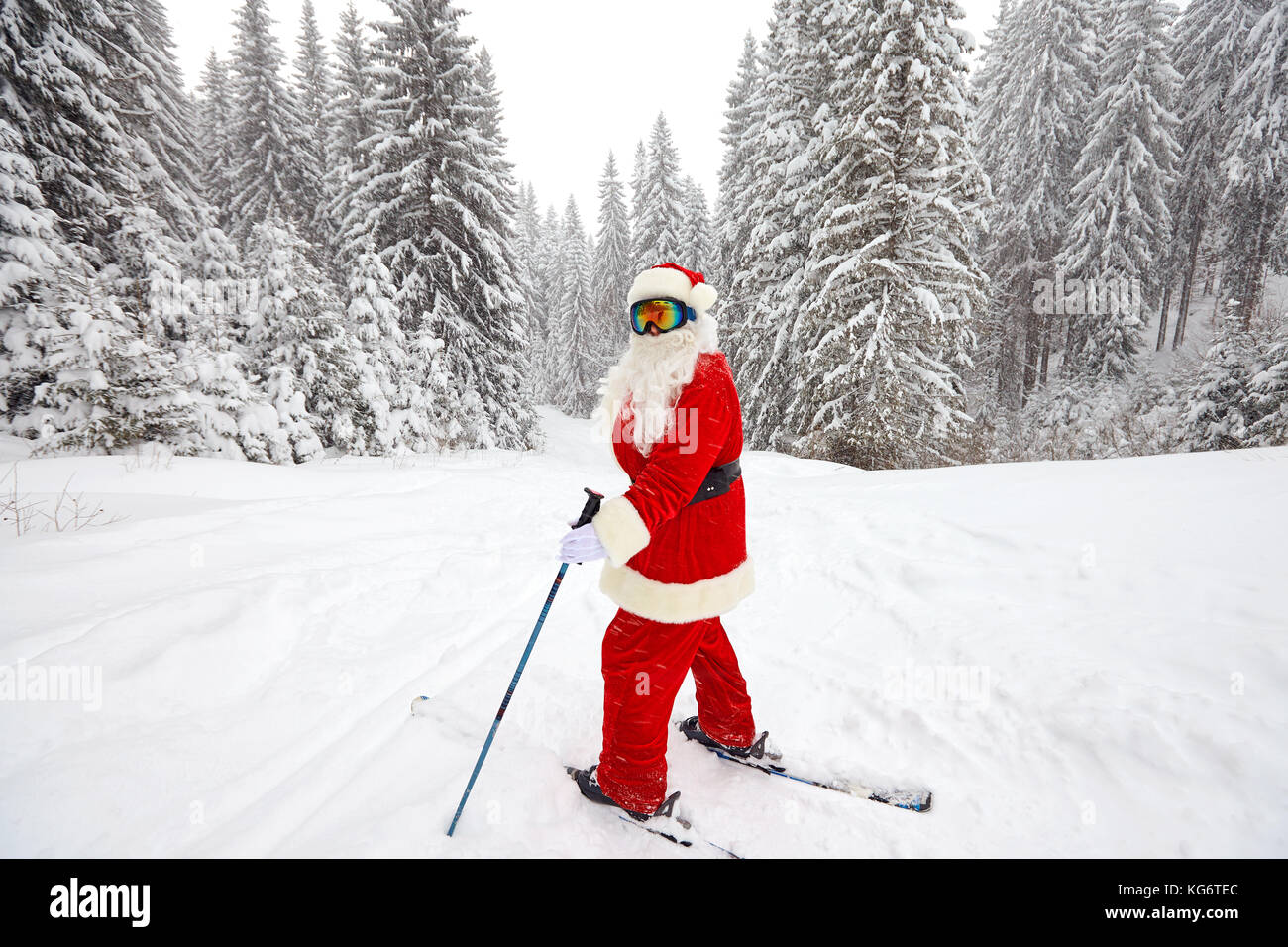 Santa Claus skier with skis in the woods in winter at Christmas Stock ...
