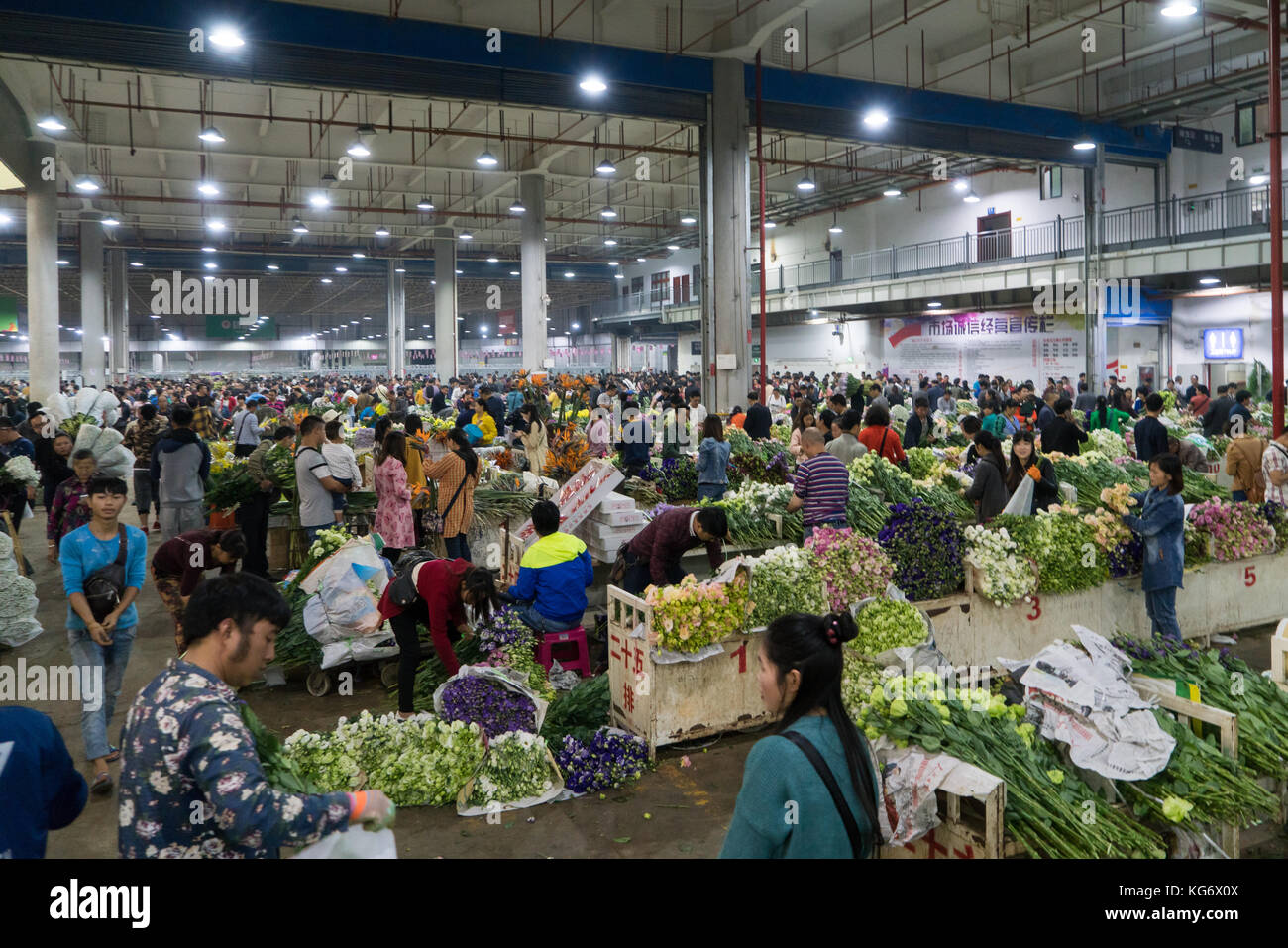 Dounan flower market in Kunming, Yunnan Province, China Stock Photo - Alamy