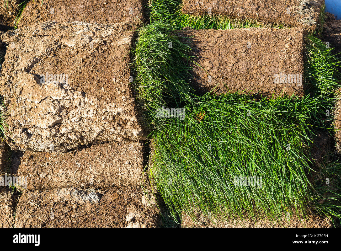 The rolled lawn folded in stacks on the street Stock Photo - Alamy