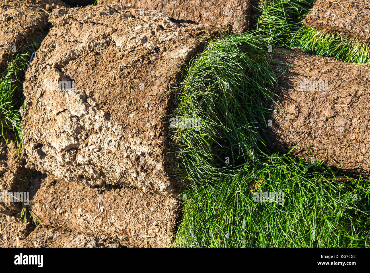 Rolled lawn hi-res stock photography and images - Alamy