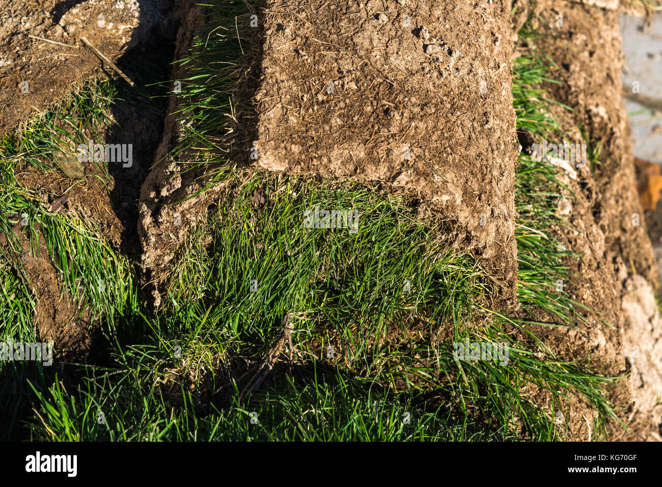 The rolled lawn folded in stacks on the street Stock Photo - Alamy