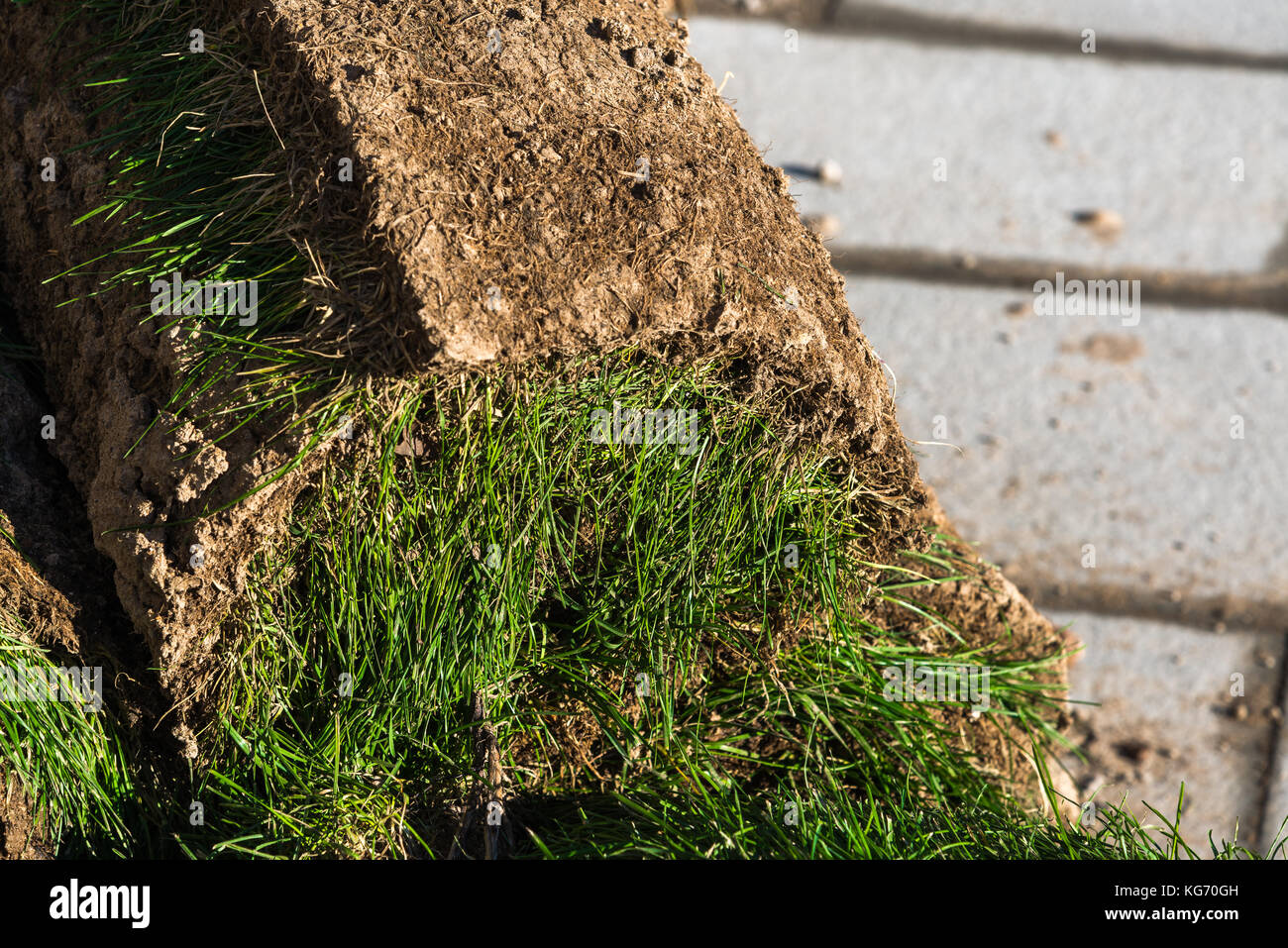 The rolled lawn folded in stacks on the street Stock Photo - Alamy