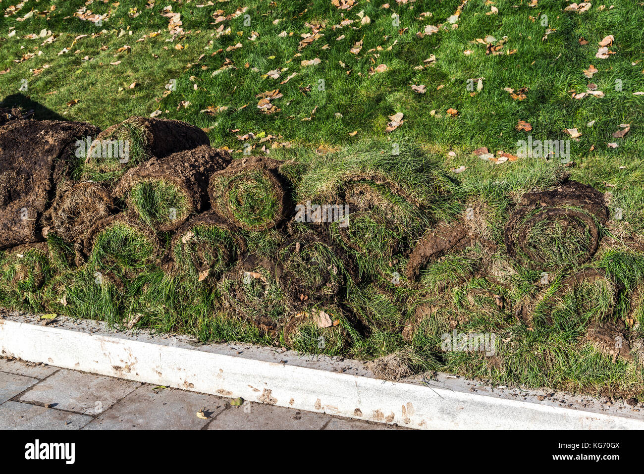 The rolled lawn folded in stacks on the street Stock Photo - Alamy
