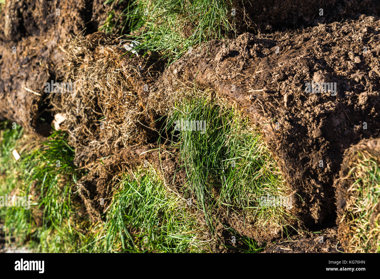The rolled lawn folded in stacks on the street Stock Photo - Alamy