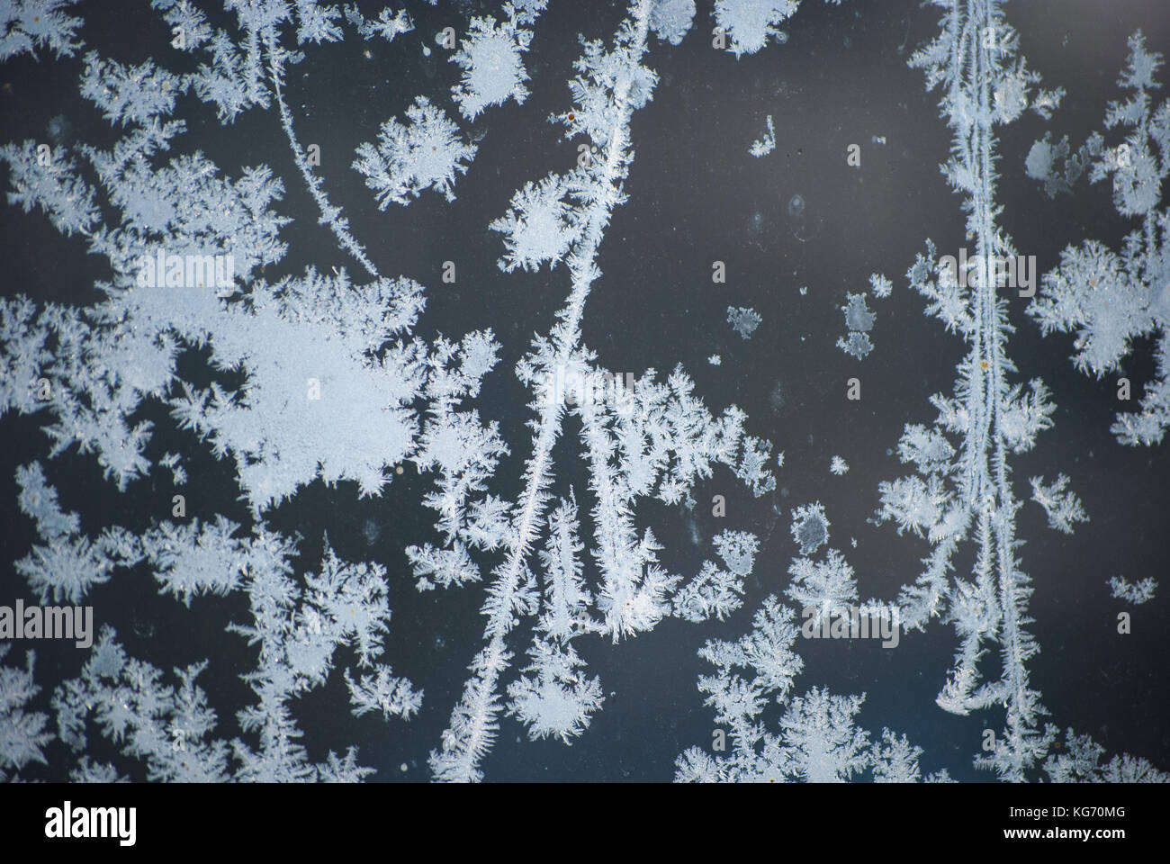 frosty patterns in the window Stock Photo - Alamy